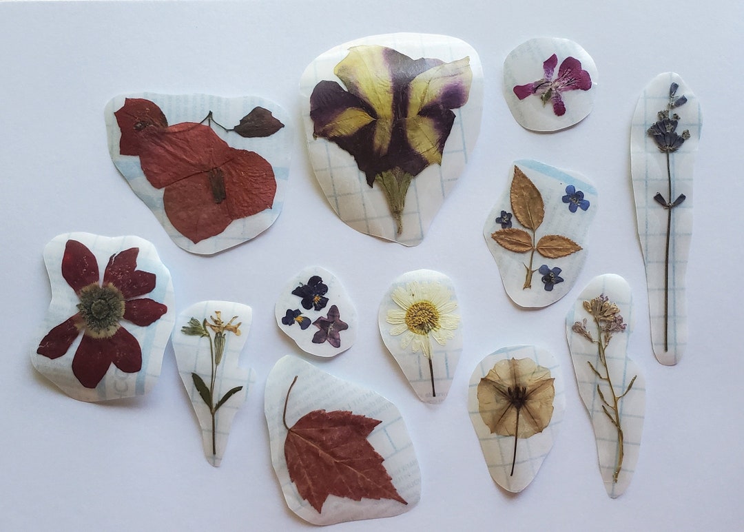 Handmade Stickers From Real Dried Pressed Flowers to Decorate Your ...