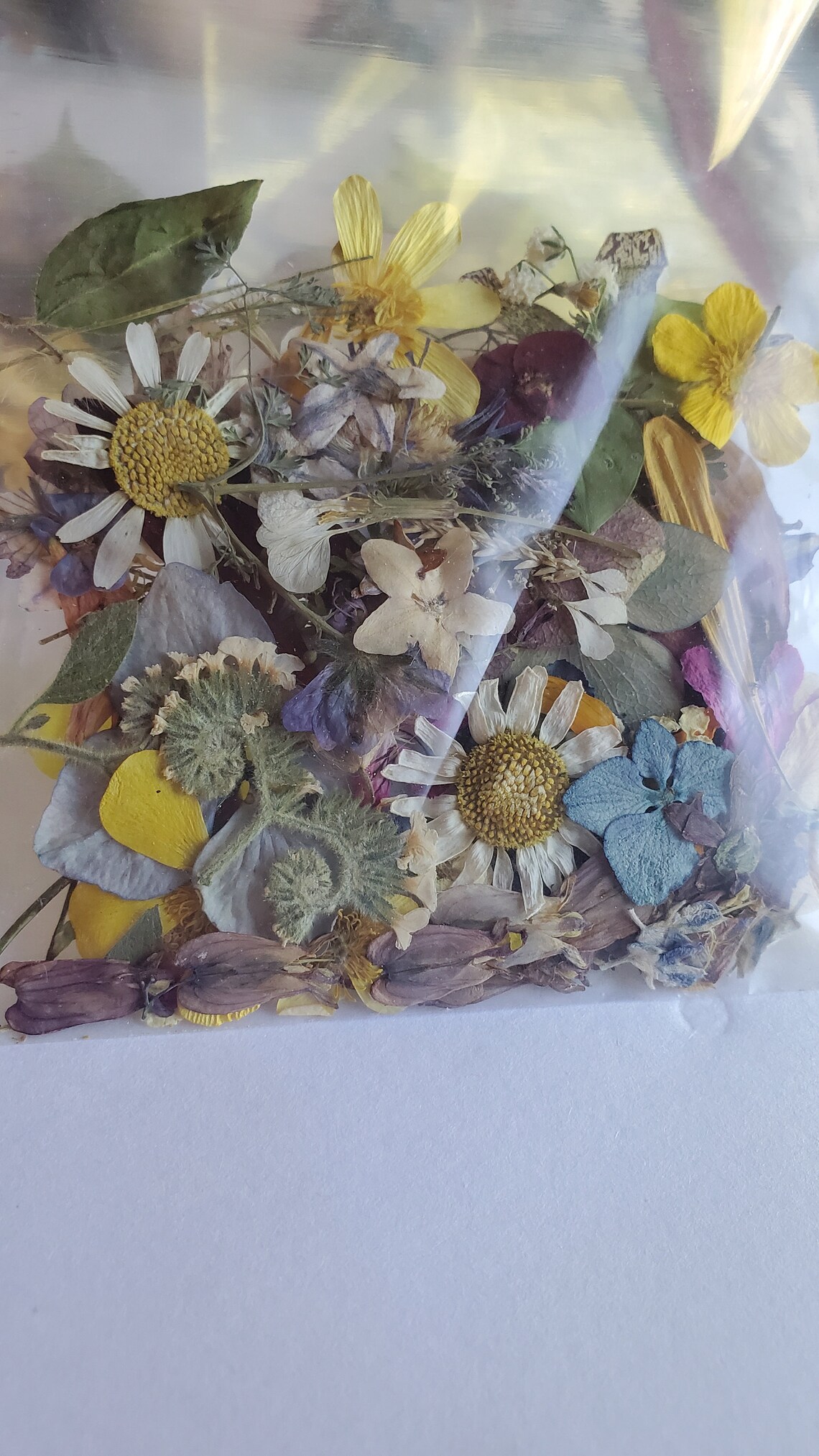 Dried Pressed Flowers. Mixed Nature Real Flowers in Packs to Craft Your ...