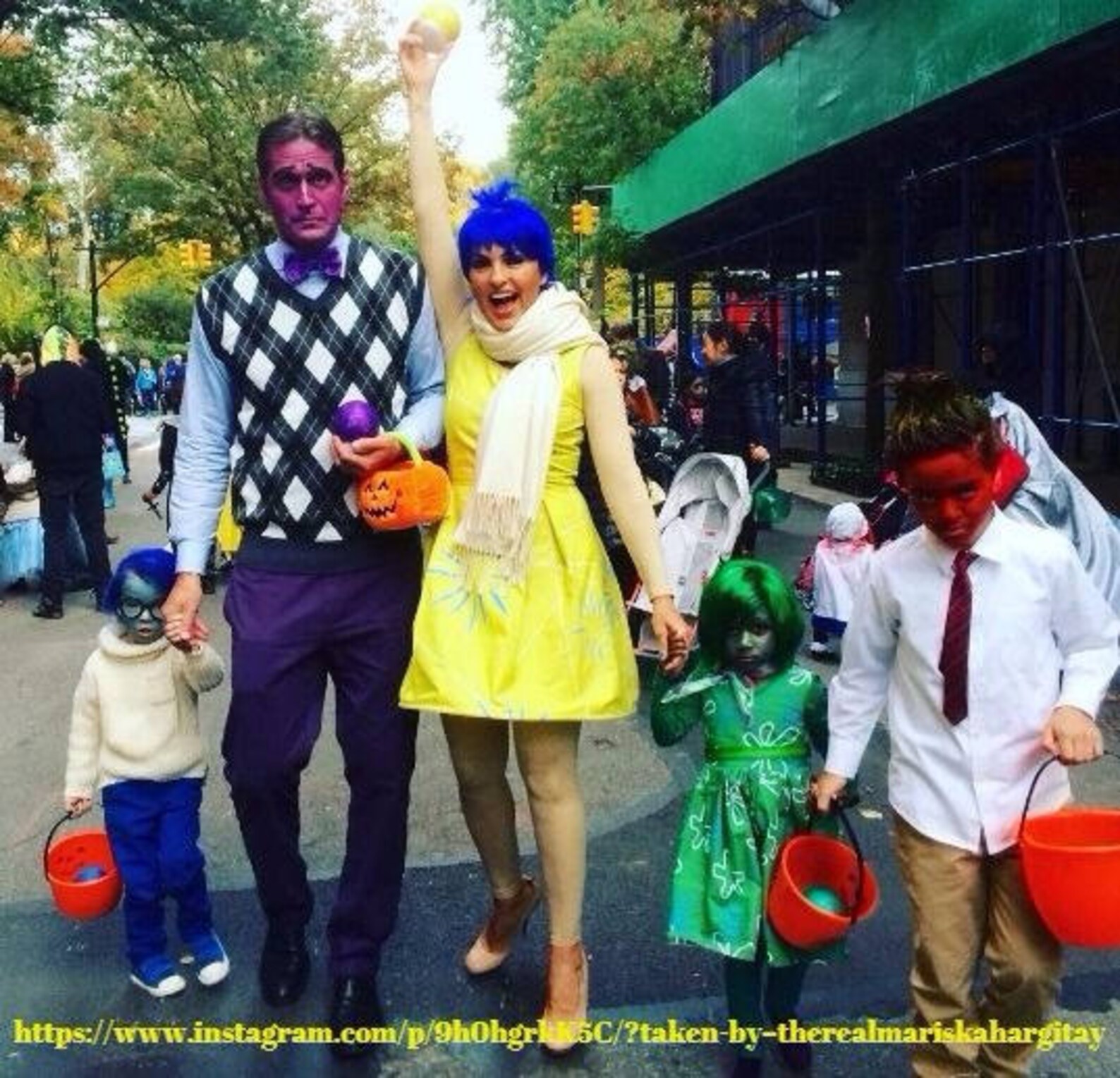 Emotions Dress Adult Ladies Size Small X Large as Seen - Etsy