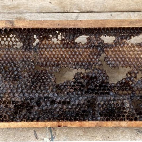 Antique Bee Hive - Etsy