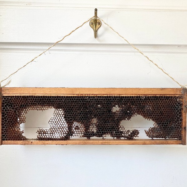 Vintage Bee Hive - Etsy