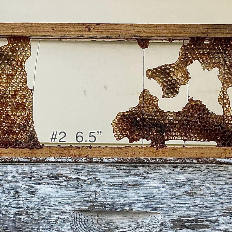 Bee Hive Art - Etsy