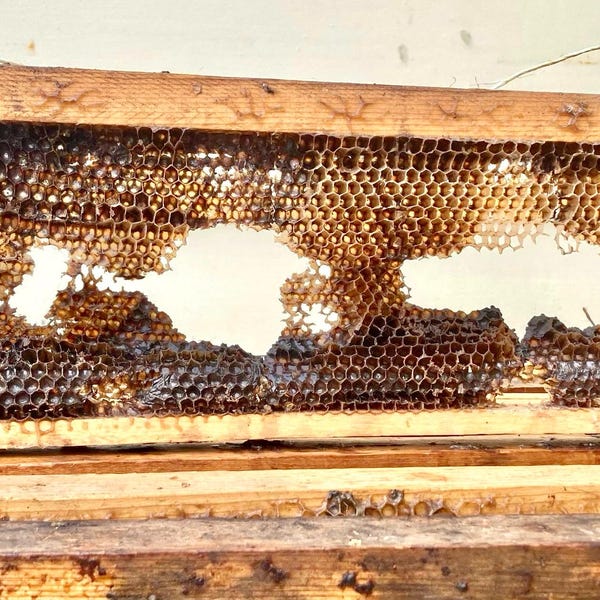 Vintage Bee Hive - Etsy