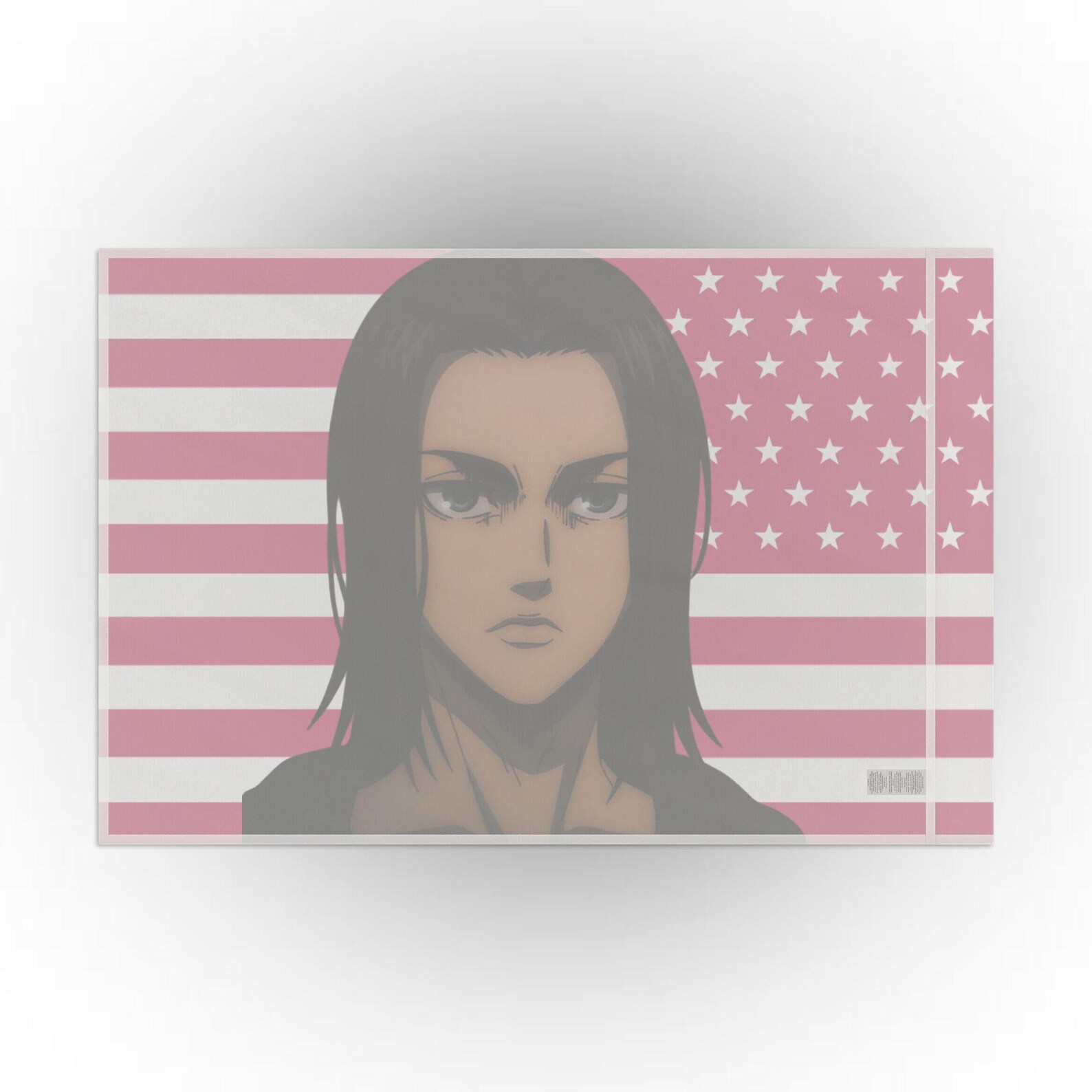 Eren Yeager Pink Flag Print, Anime Room Decor, Flag Wall Art, Attack on ...