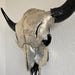 Buffalo Skull Pewter Leafed - Etsy