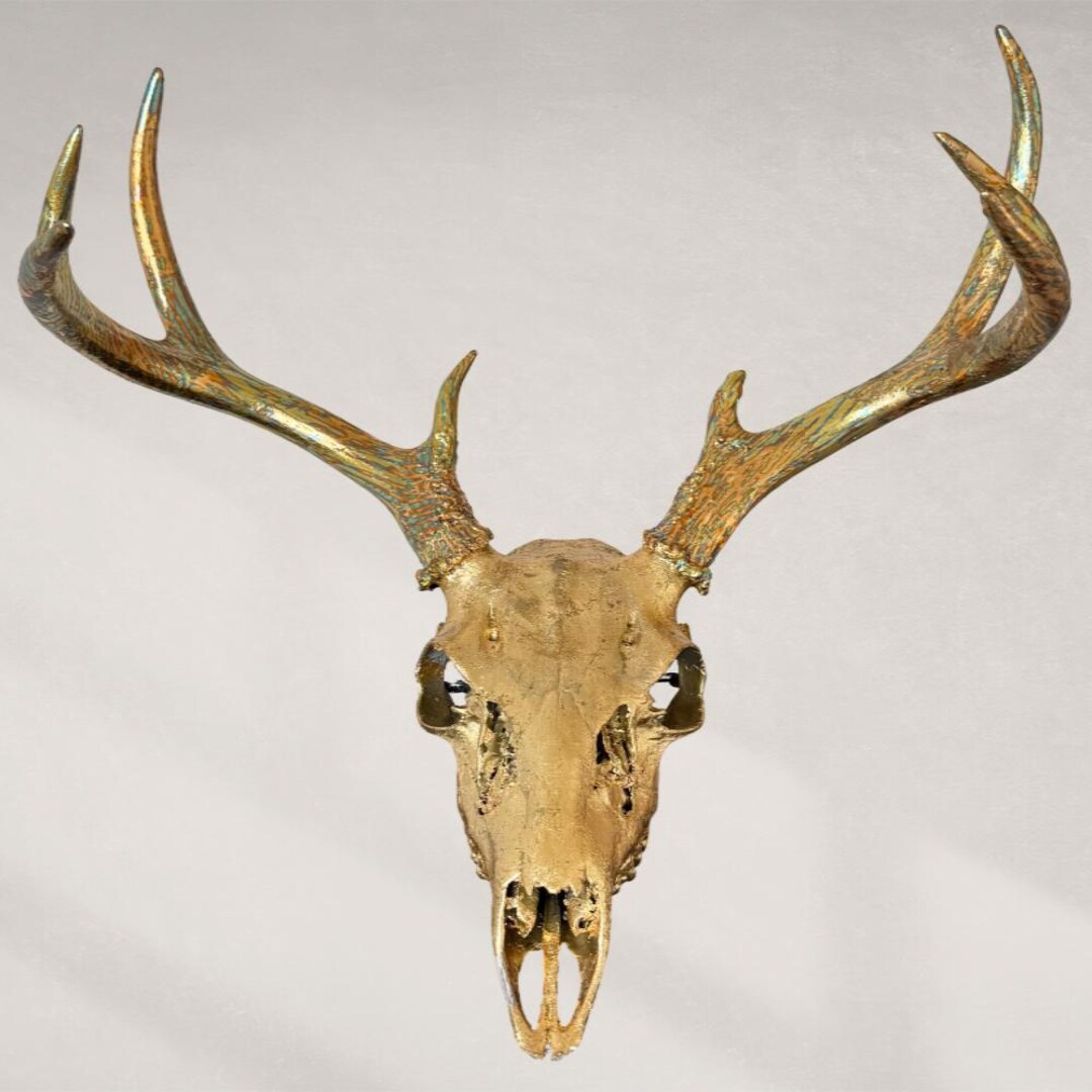 Real Gilded Deer Skull - 23K Gold With Variegated Gold Horns - Luxury ...