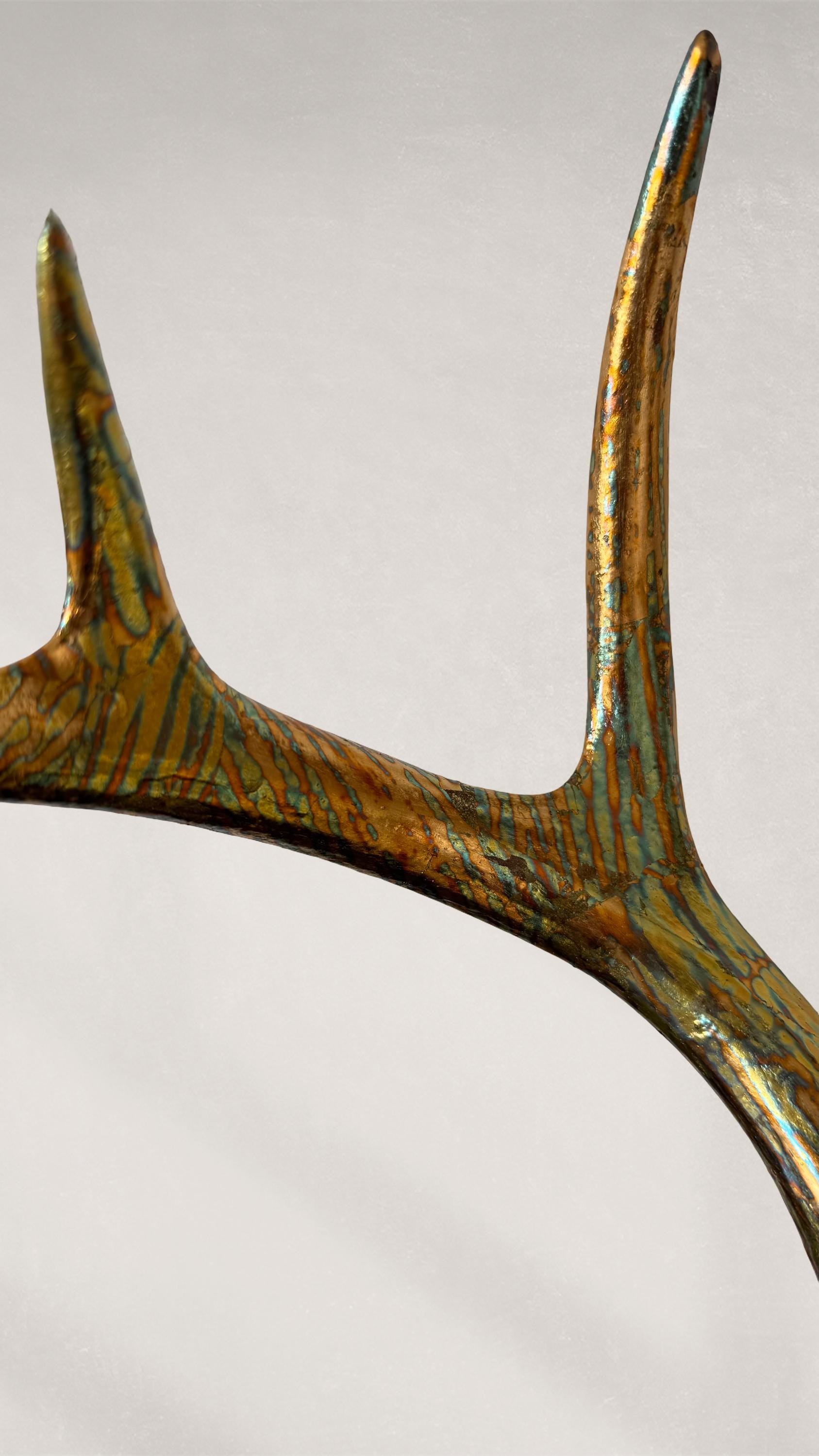 Real Gilded Deer Skull - 23K Gold With Variegated Gold Horns - Luxury ...