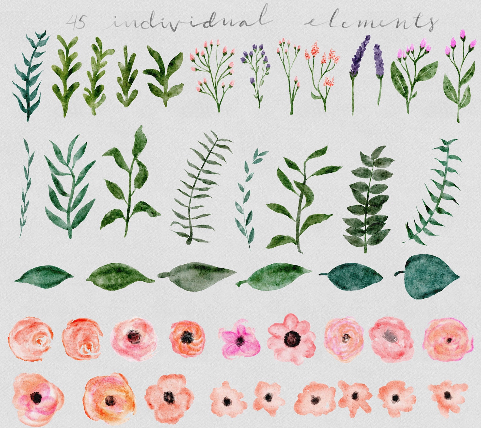 FLORAL WATERCOLOR CLIPART, Commercial Use, Digital Watercolor Download ...