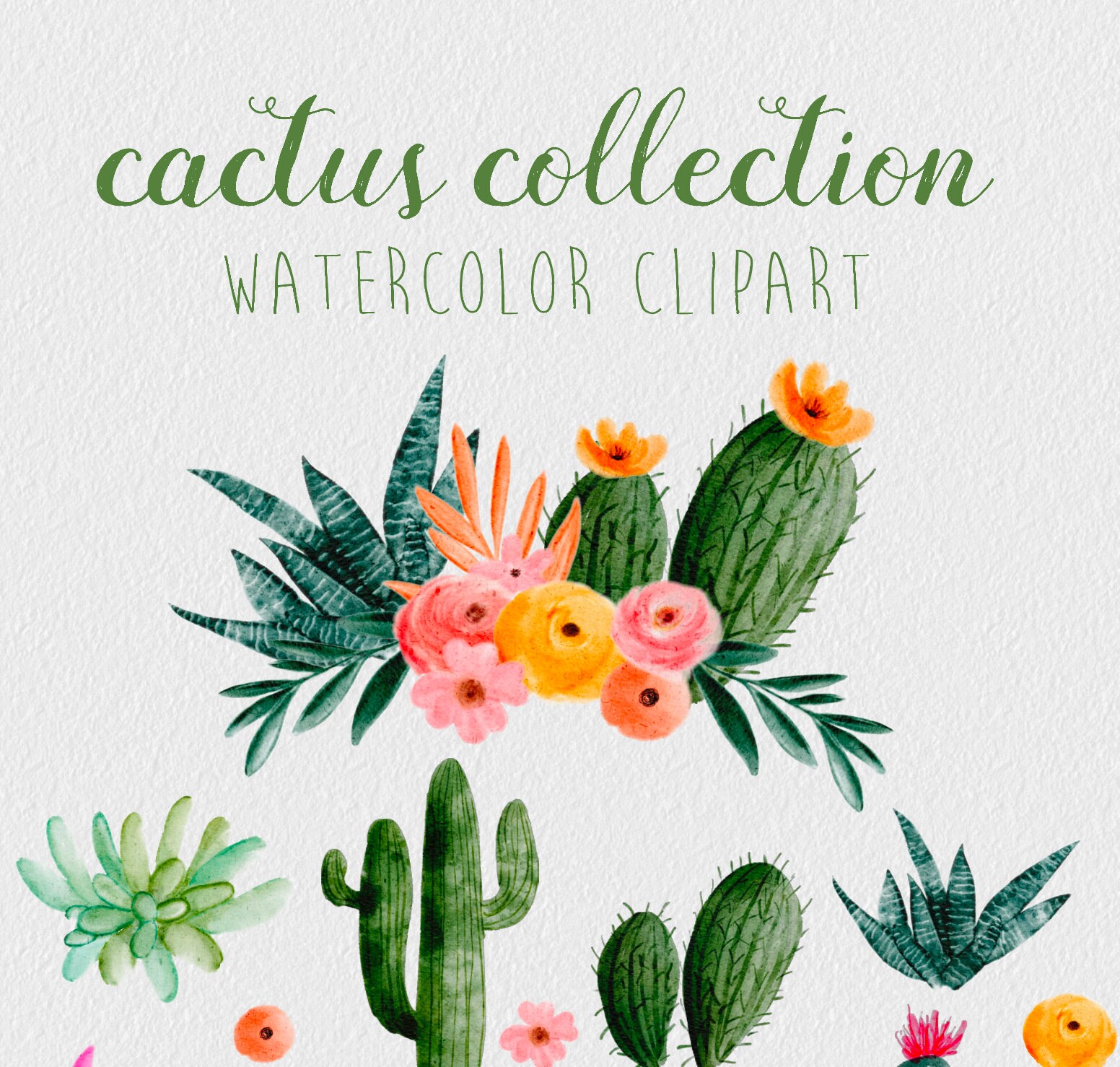 20 WATERCOLOR CACTUS CLIPART, Commercial Use, Digital Watercolor, Cacti ...