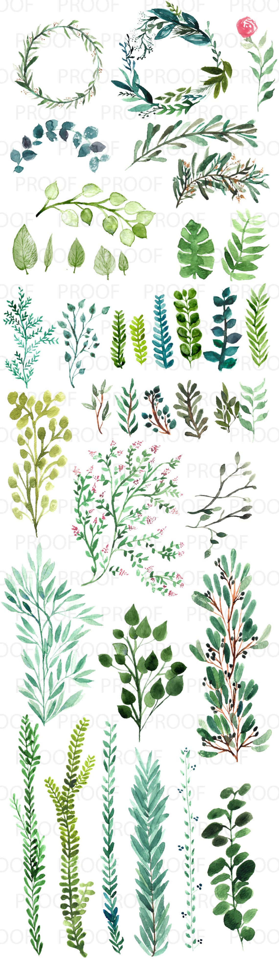 40 WATERCOLOR BOTANICAL GREENERY Clipart Download Commercial - Etsy