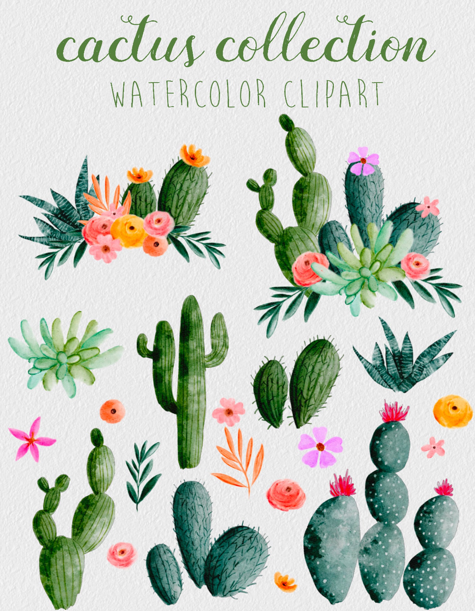 20 WATERCOLOR CACTUS CLIPART, Commercial Use, Digital Watercolor, Cacti ...