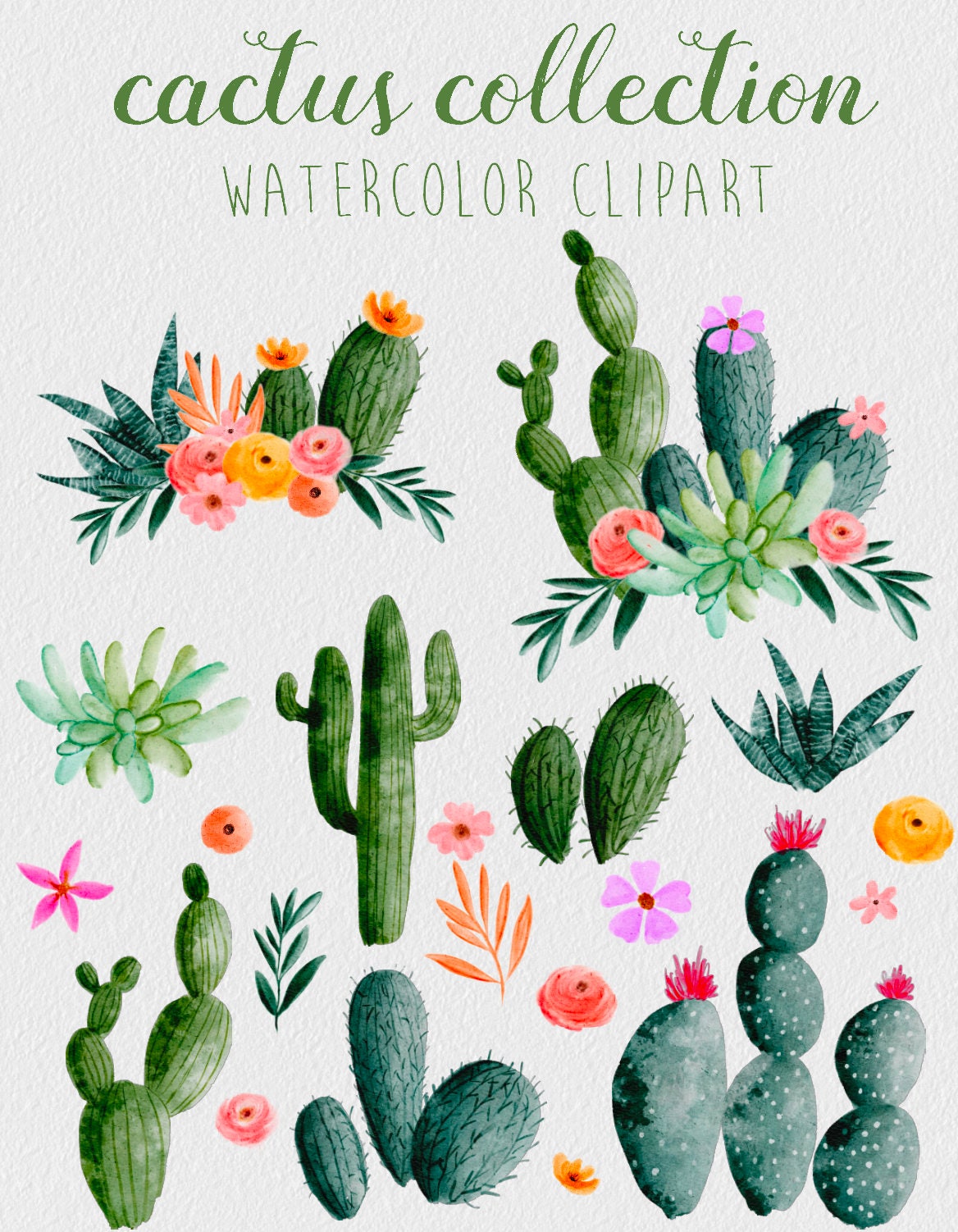 20 WATERCOLOR CACTUS CLIPART, Commercial Use, Digital Watercolor, Cacti ...