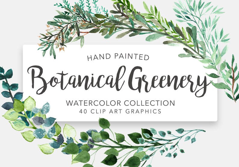 40 WATERCOLOR BOTANICAL GREENERY Clipart Download, Commercial Use ...