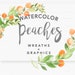 WATERCOLOR PEACHES + GREENERY Clipart Download, Commercial Use, Painted ...