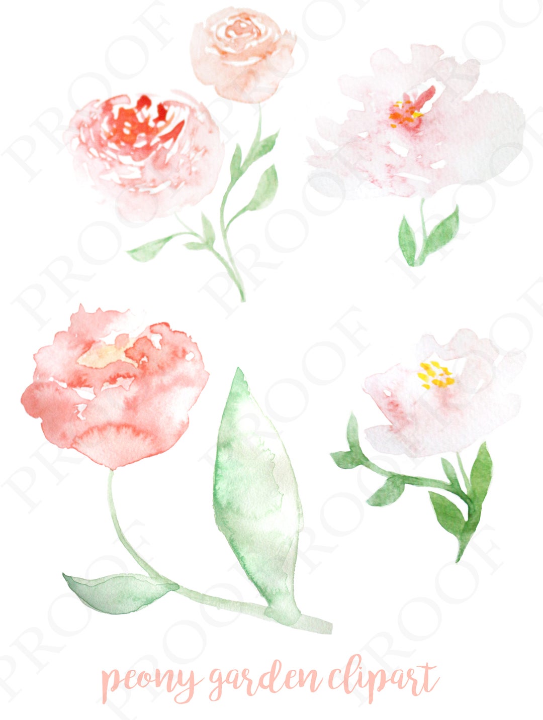 PEONY GARDEN CLIPART, Downloadable, Commercial Use, Png File ...