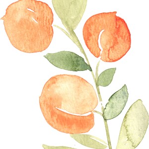 WATERCOLOR PEACHES + GREENERY Clipart Download, Commercial Use, Painted ...