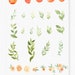 WATERCOLOR PEACHES + GREENERY Clipart Download, Commercial Use, Painted ...