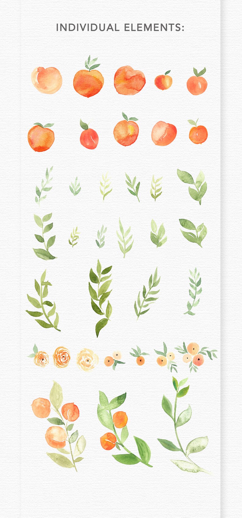 WATERCOLOR PEACHES GREENERY Clipart Download Commercial - Etsy Canada