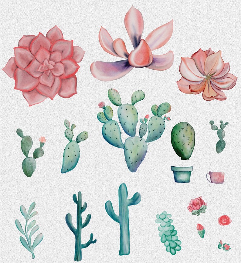 26 WATERCOLOR CACTUS CLIPART Download, Commercial Use, Digital ...