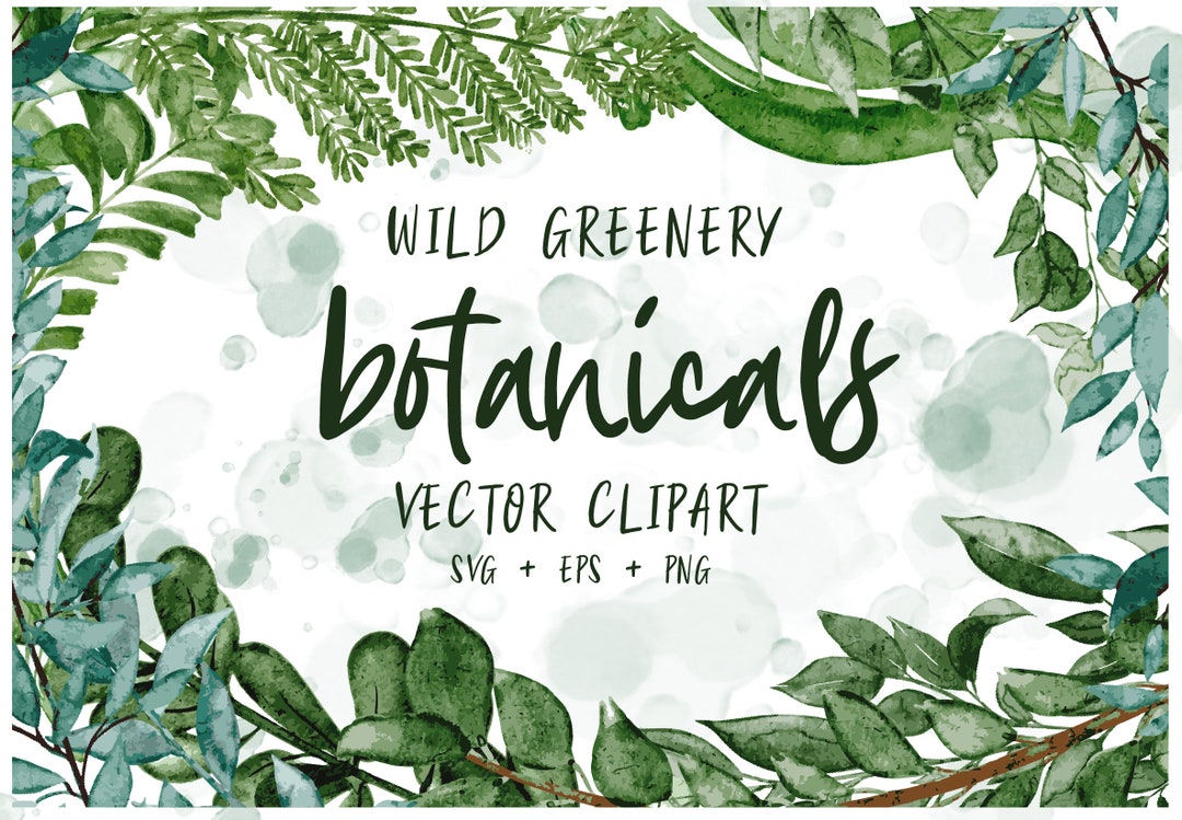 BOTANICAL GREENERY Vector Art, Commercial Use, Muted Watercolor Florals ...