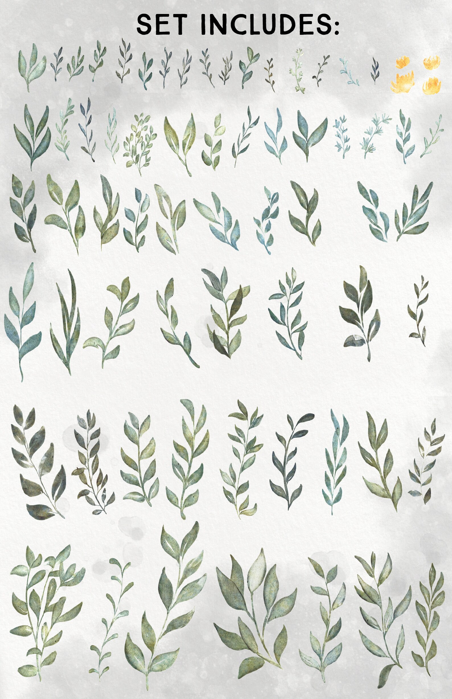 LEAFY GREENERY BOTANICALS, Commercial Use, Greenery Frames, Leaf Frame ...