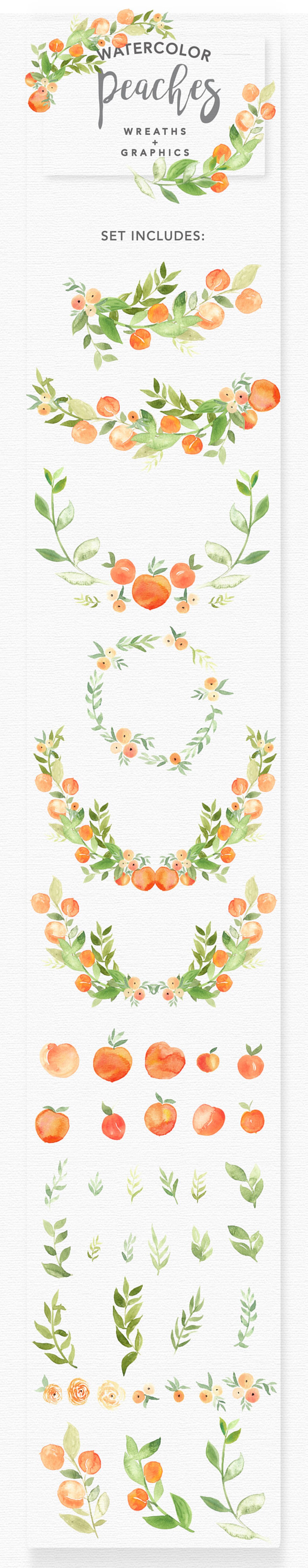 WATERCOLOR PEACHES + GREENERY Clipart Download, Commercial Use, Painted ...