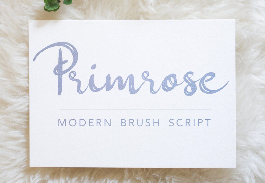 PRIMROSE Modern Brush Script Font, Digital Download, Commercial Use ...