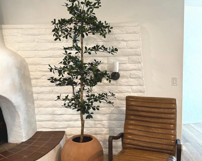 8' Shady Lady Black Olive Tree, Black Olive Tree, Shady Lady Tree, Faux ...