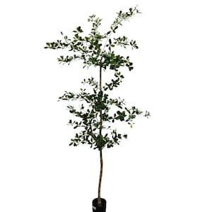 8' Shady Lady Black Olive Tree, Black Olive Tree, Shady Lady Tree, Faux ...