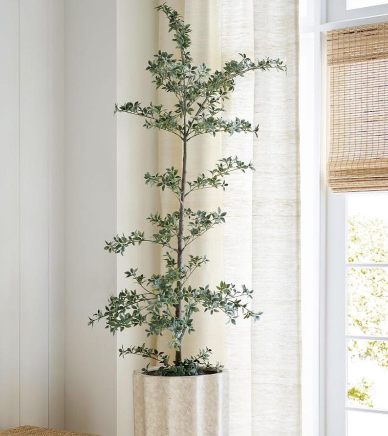 6' Shady Lady Black Olive Tree, Black Olive Tree, Shady Lady Tree, Faux ...