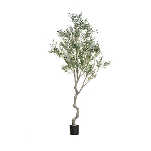 Crooked Tree - Etsy