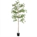 Faux Black Olive Tree, Shady Lady Tree, Black Olive Tree, Olive Tree - Etsy