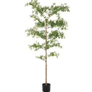 Faux Black Olive Tree, Shady Lady Tree, Black Olive Tree, Olive Tree - Etsy