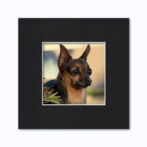 8x8 Premium Matboard | Any Size Opening for Custom Photo or Artwork ...