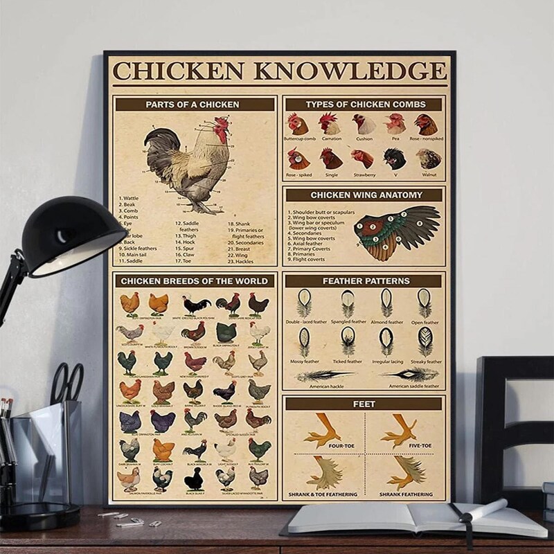 Chicken Breeds Poster - Etsy