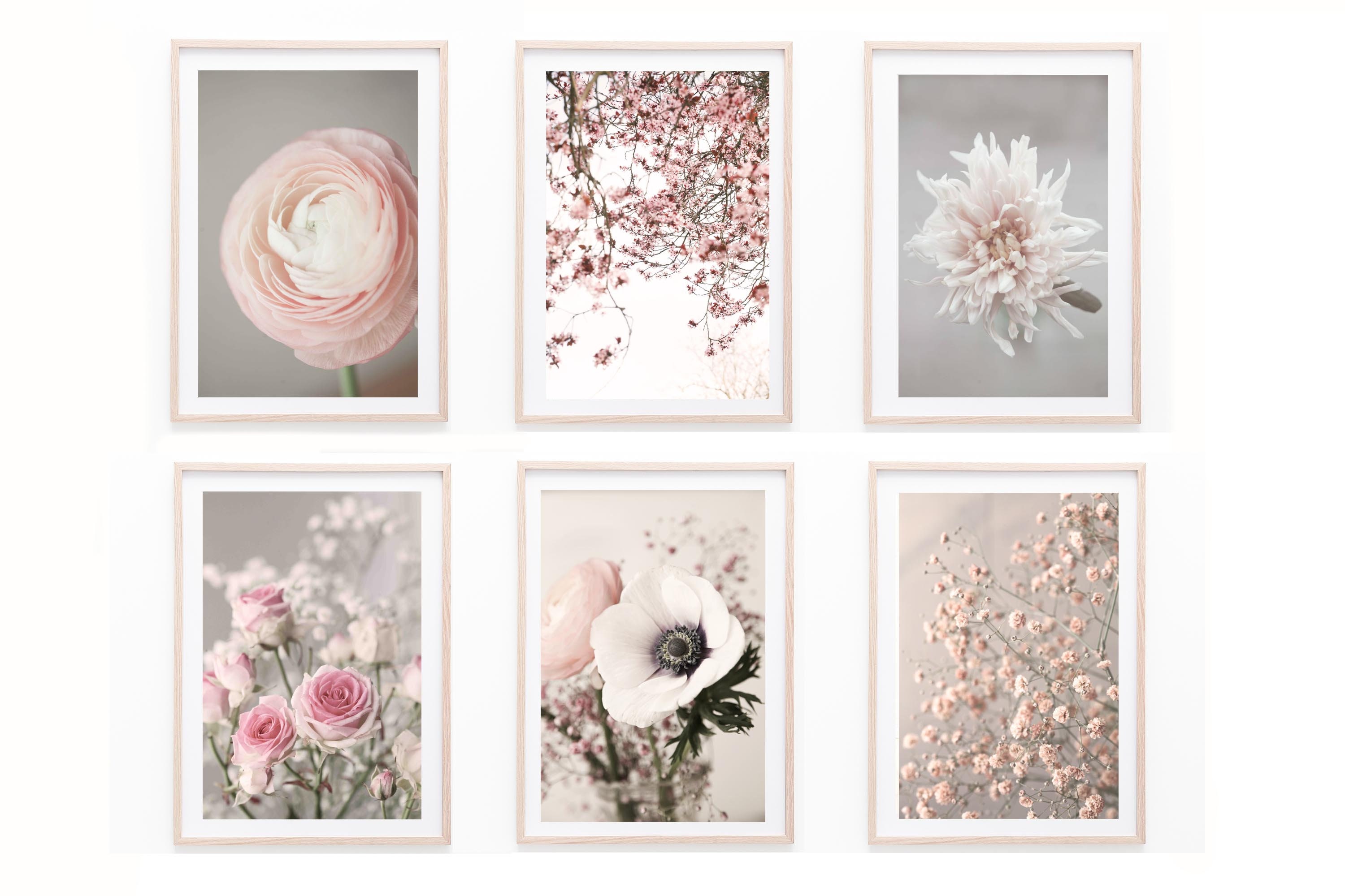 Flower Prints Set of 6 Prints Neutral Wall Art Flower Wall - Etsy