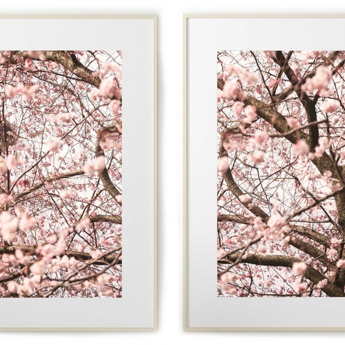 Cherry Blossom Tree Print Instant Download Floral | Etsy