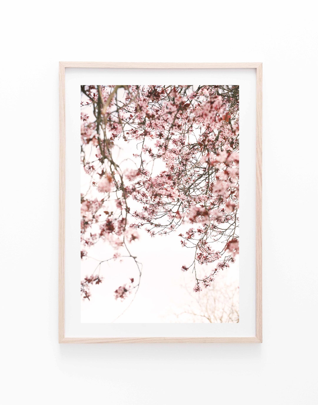 Cherry Blossom Tree Print - Instant Download Floral Photography - Large ...