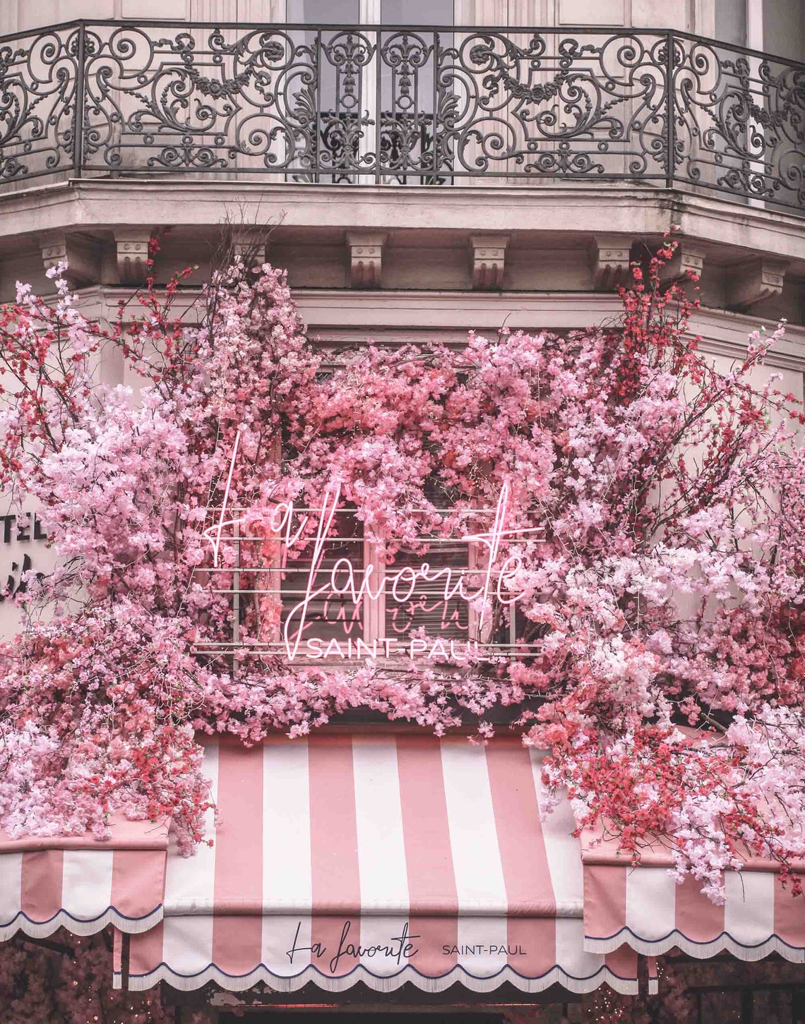 Paris Pink Cafe Printable Photography for Wall Decor Instant - Etsy