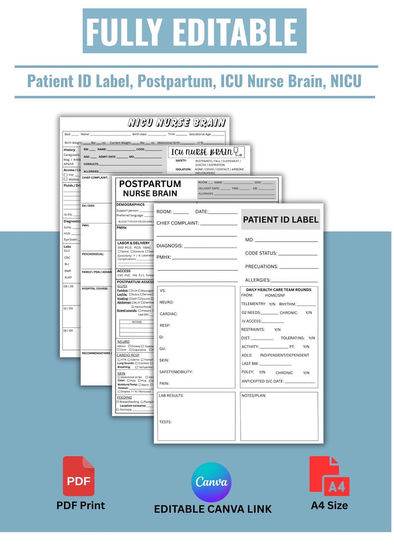 Editable Nurse Brain Sheets Bundle With ICU NICU Postpartum Patient ID ...
