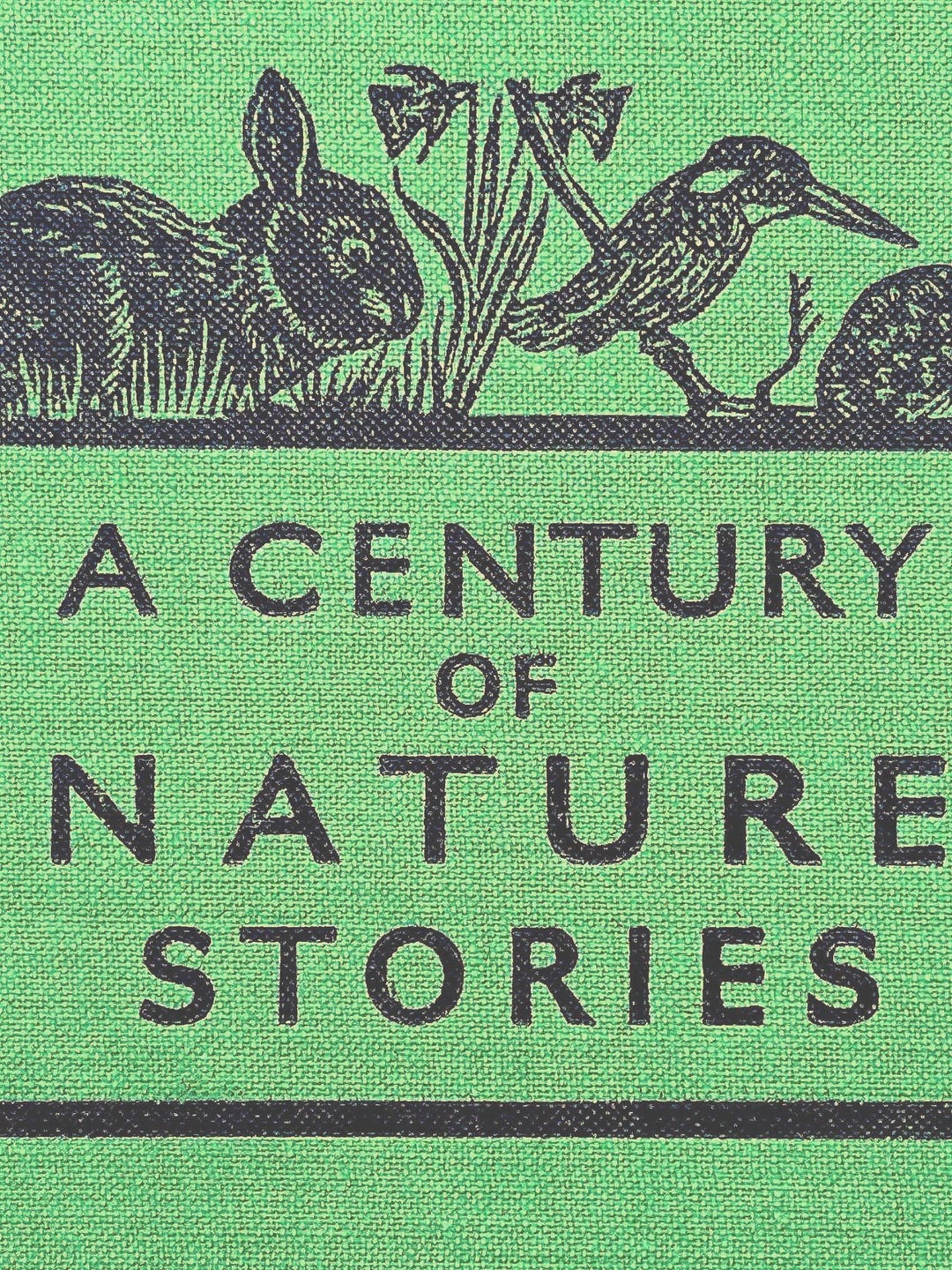 Vintage Nature Stories for Children, Illustrated and Charming! - Etsy