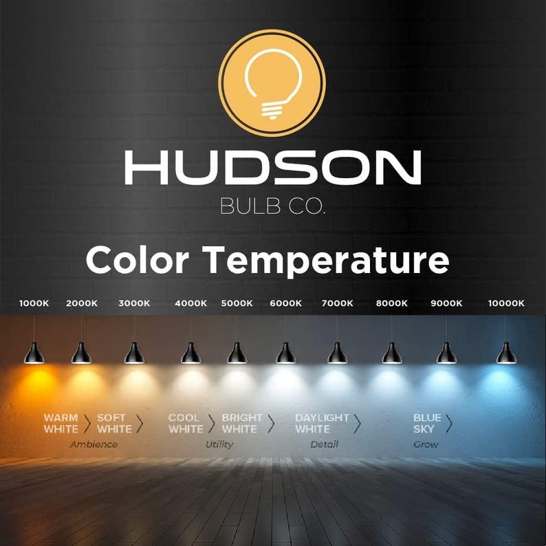 Hudson Vintage LED Edison Light Bulbs 60W (6 Pack)- E26/E27 Base 2200K ...