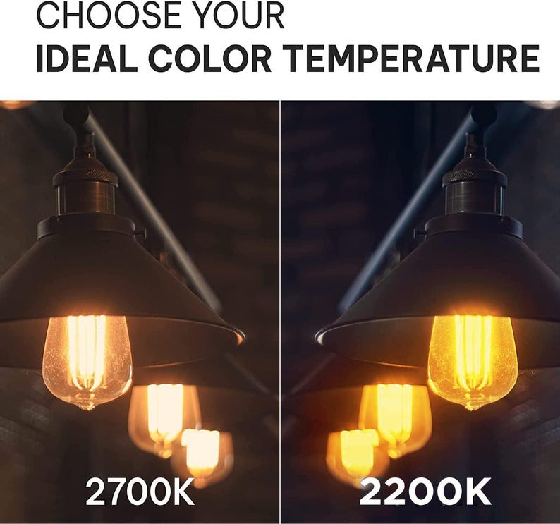 Hudson Vintage LED Edison Light Bulbs 60W (6 Pack)- E26/E27 Base 2200K ...