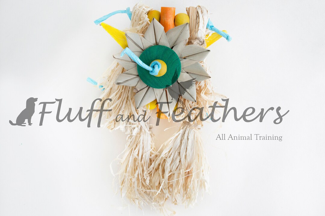 Prickly Toes Parrot Toy - Etsy