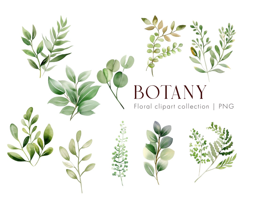 Watercolor Greenery Clipart, Greenery Foliage, Eucalyptus Clipart ...