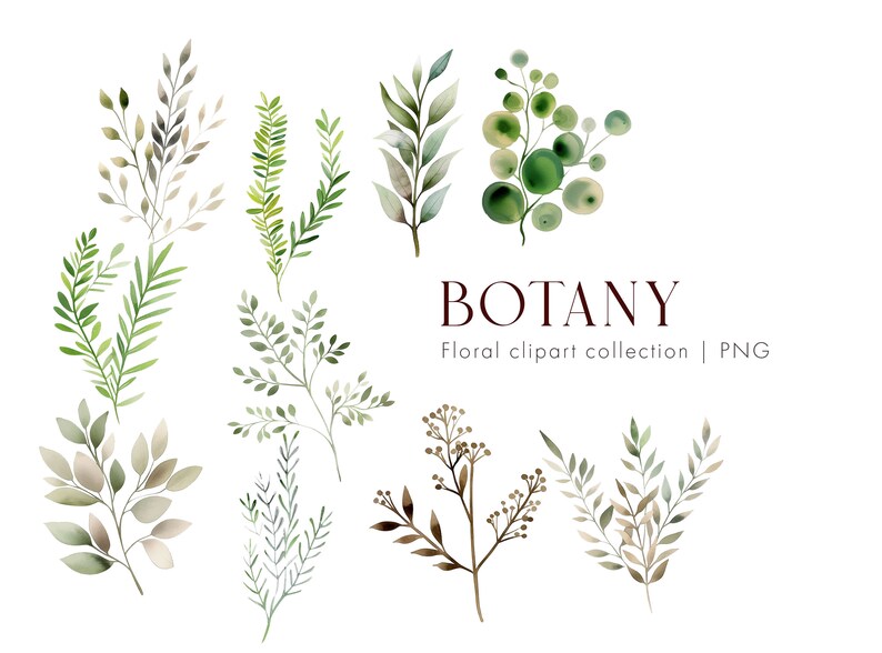 Watercolor Greenery Clipart, Greenery Foliage, Eucalyptus Clipart ...