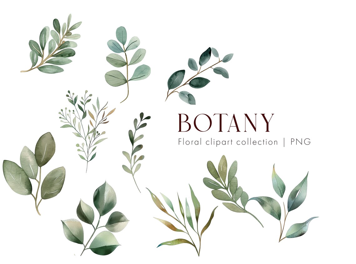 Watercolor Greenery Clipart, Greenery Foliage, Eucalyptus Clipart ...