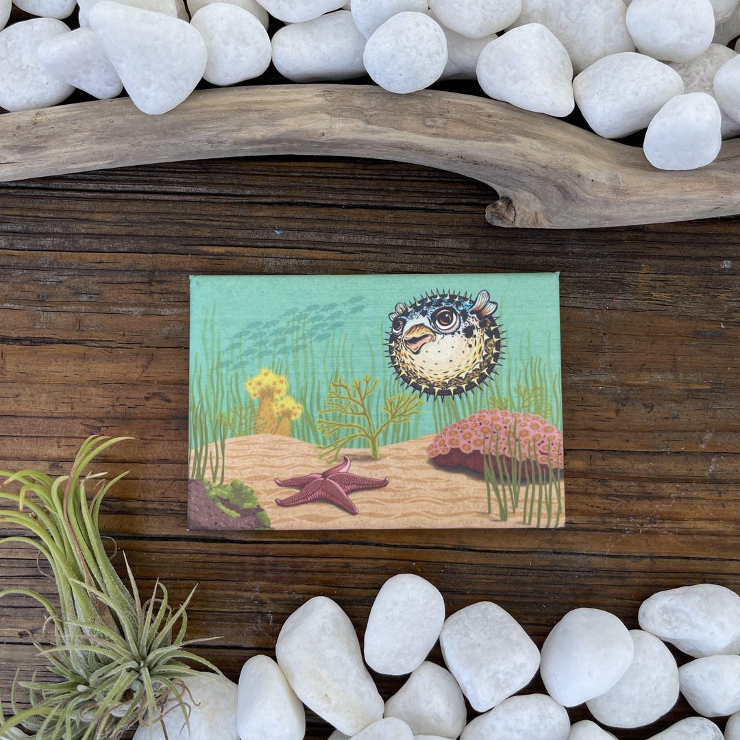 Pufferfish Art Fridge Magnet: Puffy Blowfish Design - Etsy