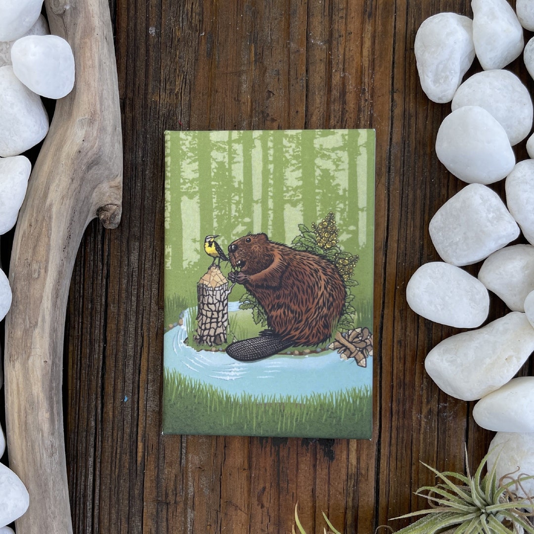 Beaver Refrigerator Magnet - Etsy