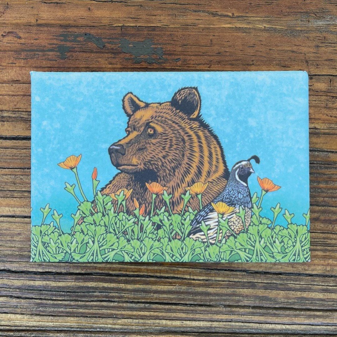 Grizzly Bear Fridge Magnet - Etsy